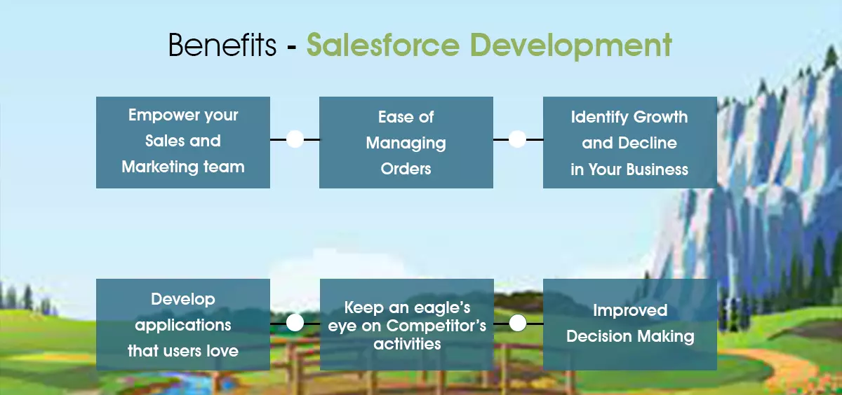 Everything About Salesforce Development Lifecycle