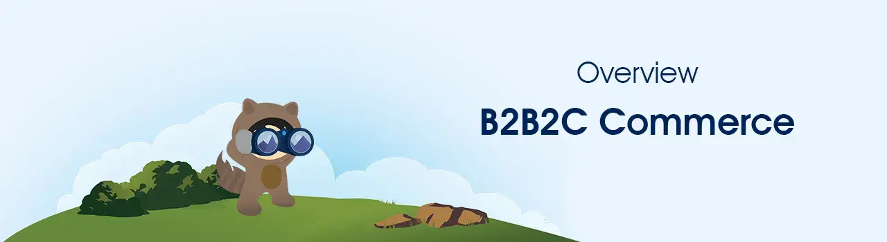 Salesforce B2B2C Commerce To Grow Your E-commerce Business