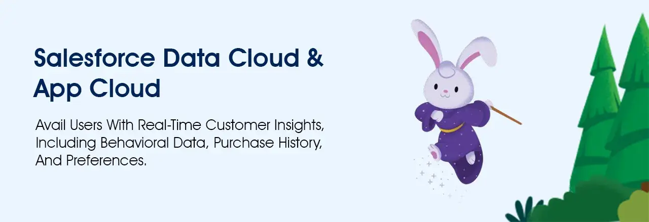 How To Maximize Efficiency & ROI with Salesforce Data Cloud?