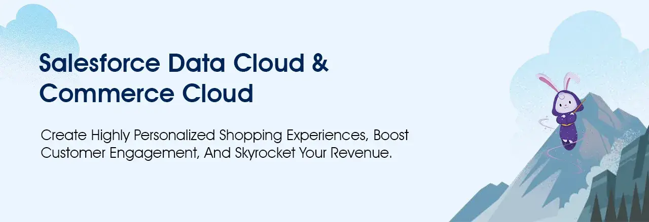 How To Maximize Efficiency & ROI with Salesforce Data Cloud?