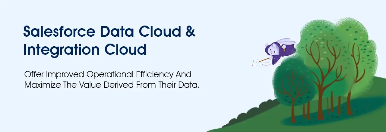 How To Maximize Efficiency & ROI with Salesforce Data Cloud?