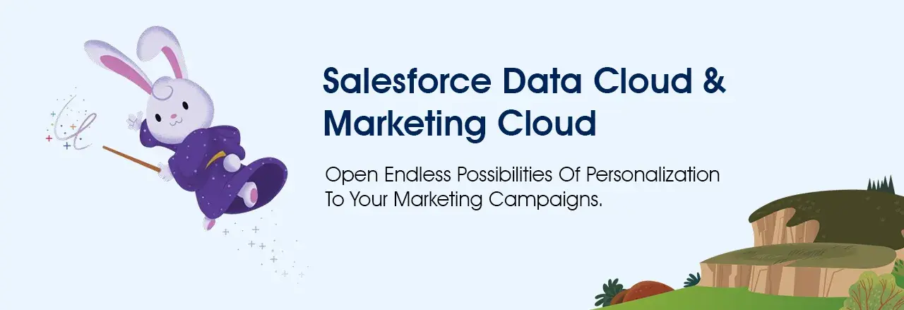 How To Maximize Efficiency & ROI with Salesforce Data Cloud?