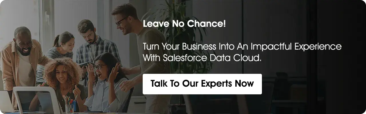 How To Maximize Efficiency & ROI with Salesforce Data Cloud?