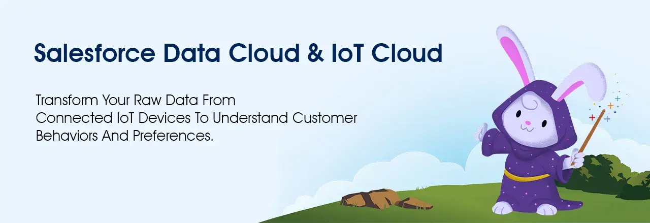 How To Maximize Efficiency & ROI with Salesforce Data Cloud?