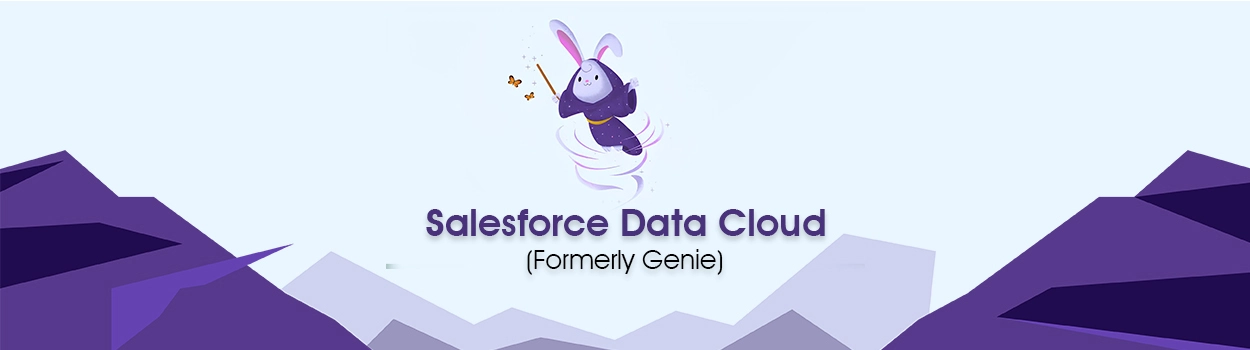 Salesforce Data Cloud Implementation - Step by Step Guide