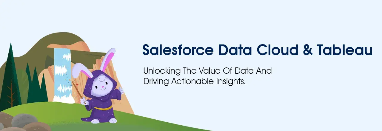 How To Maximize Efficiency & ROI with Salesforce Data Cloud?