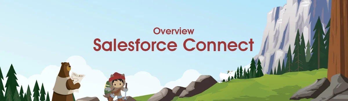 Salesforce Connect Guide To Real Time Data Integration