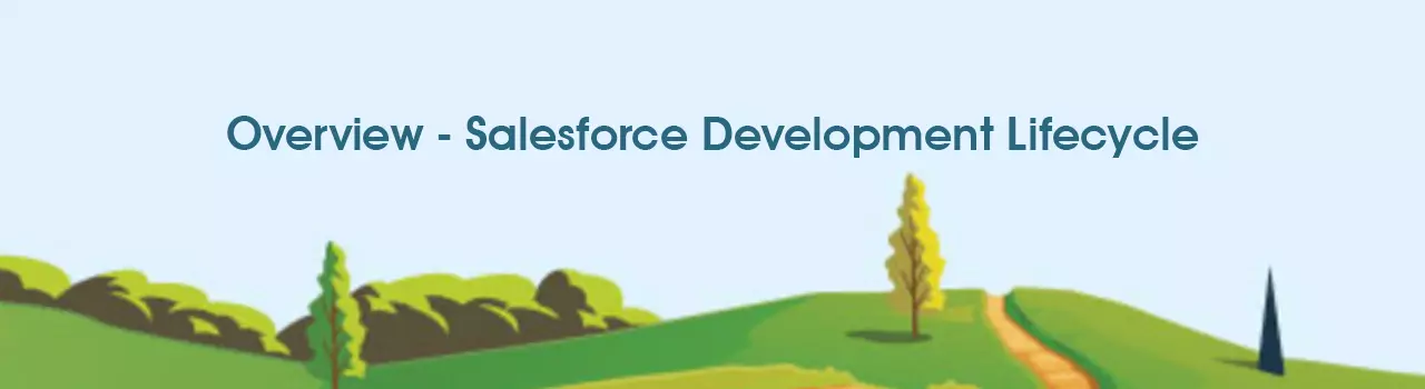 Everything About Salesforce Development Lifecycle