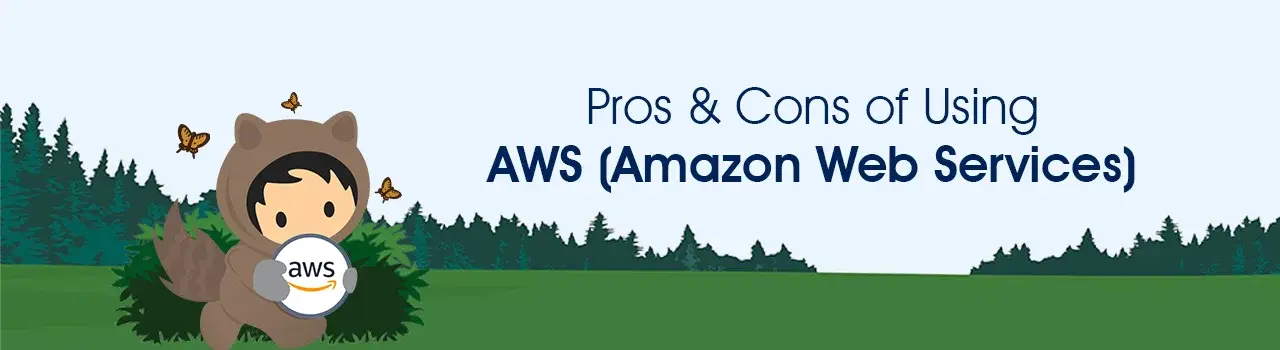 Heroku vs AWS: Which one to choose?