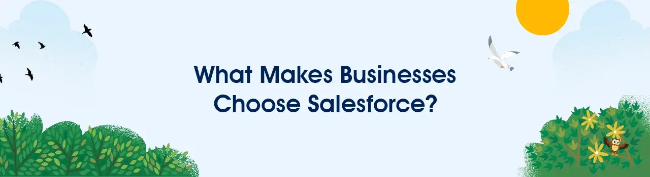 Salesforce CRM Pricing Plan & Cost Guide